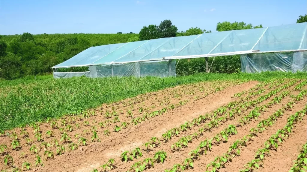 Empowering Rural Communities Through Infrastructure